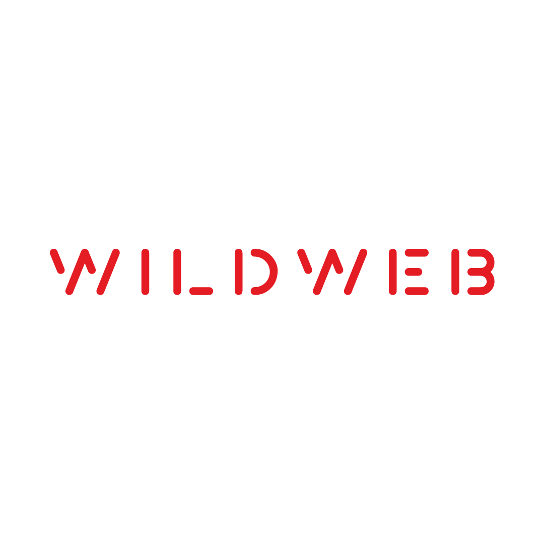 Home - WildWeb | Digital Agency for Startups